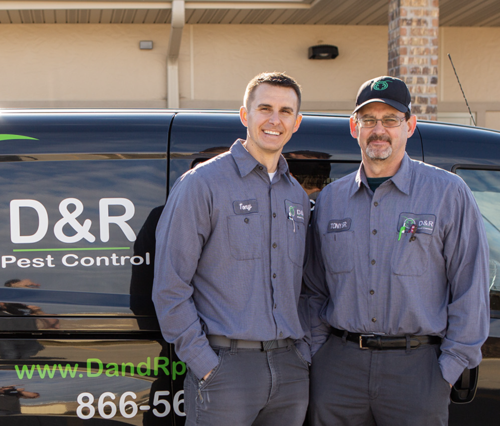 Pest Control in North Liberty - D & R Pest Control